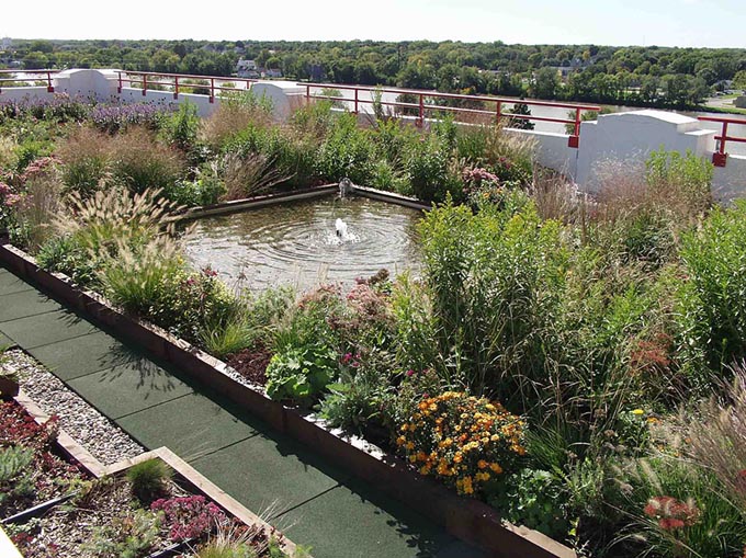 GreenGrid--A Modular Green Roof System | BuildingGreen