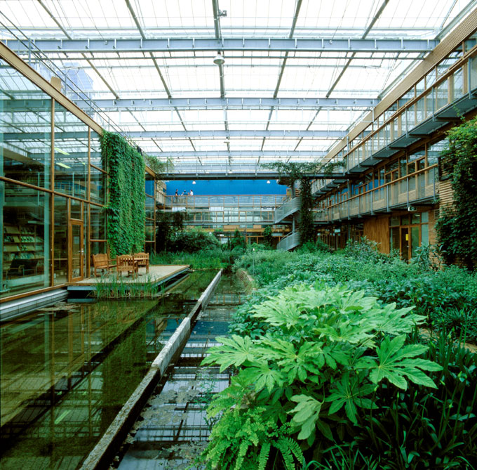 Bringing Nature Indoors: The Myths and Realities of Plants in Buildings ...