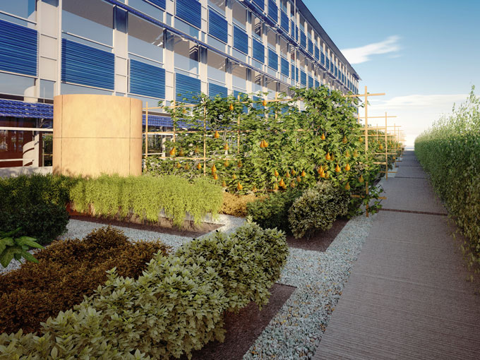 Market-Rate Net-Zero-Carbon Design Emerges from Exercise | BuildingGreen
