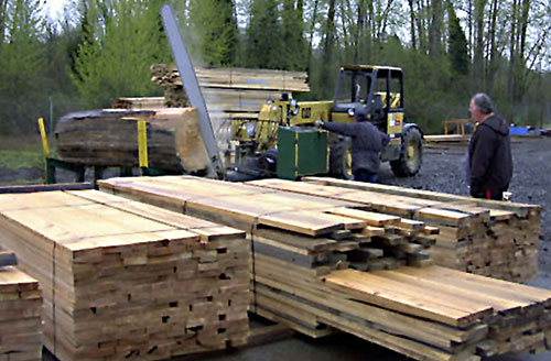 Underwater Timber Salvage | BuildingGreen