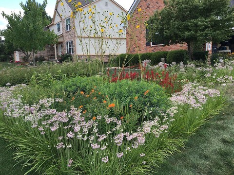 Native Landscaping for Biodiversity | BuildingGreen