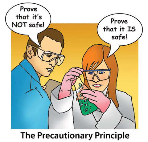 Precautionary Principle Cartoon