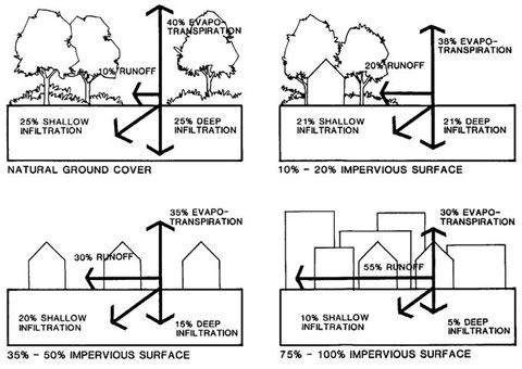 Stormwater Management: Environmentally Sound Approaches | BuildingGreen