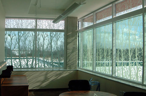 Design for the Birds: Protecting Birds from the Hazards of Glass ...